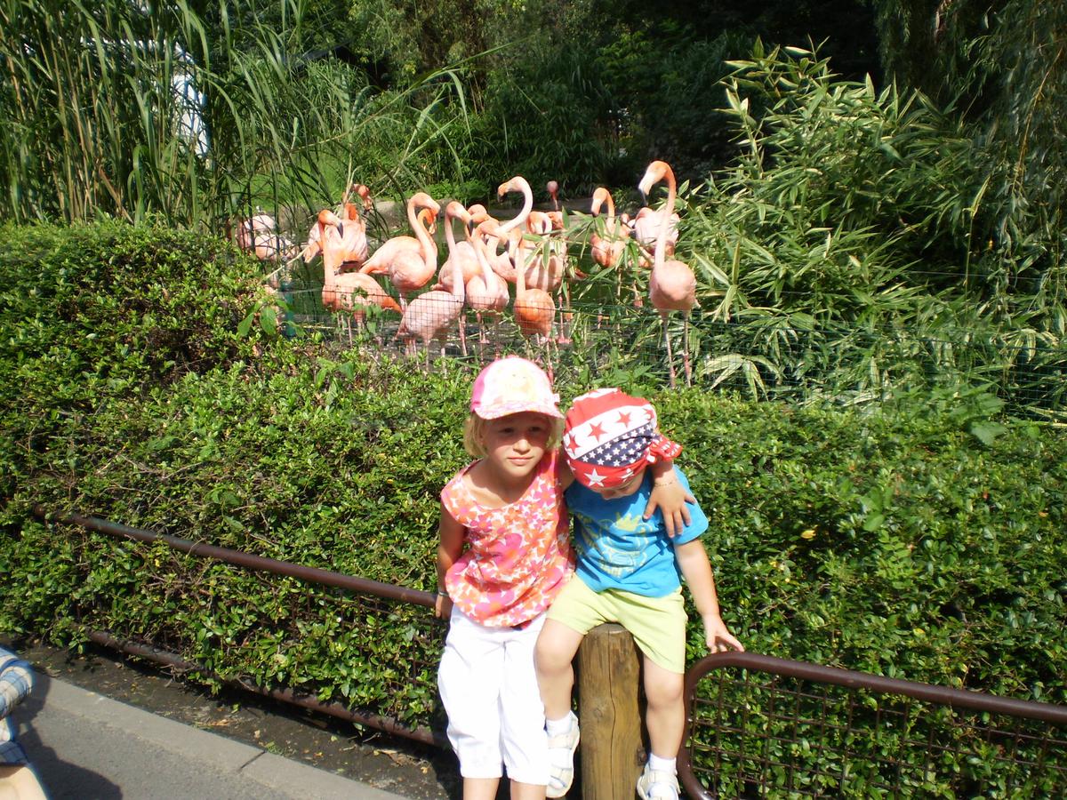 Zoo 24.8.2011 – Lenka – album on Rajče