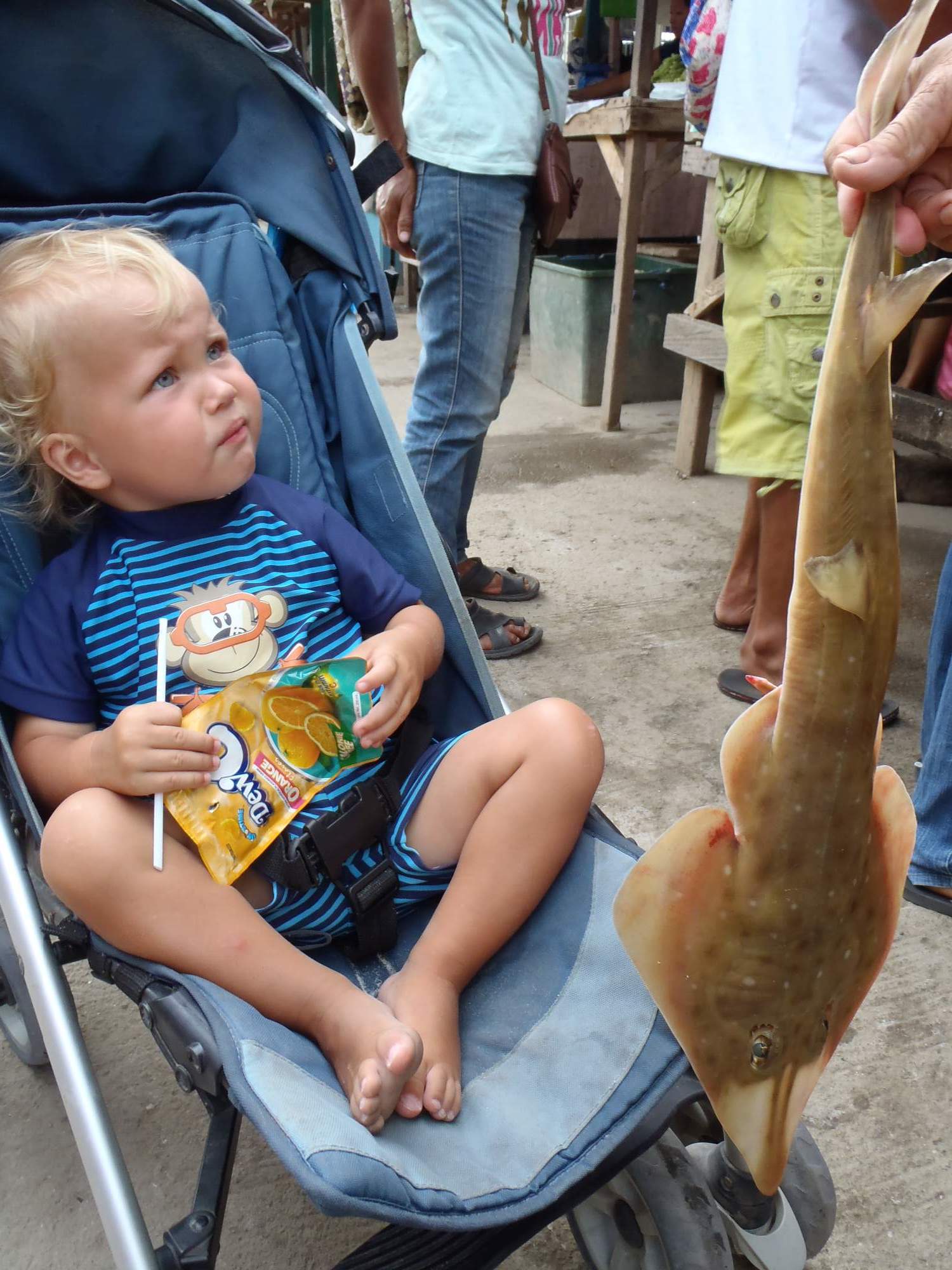 FILIPÍNY 2015 – janix – album na Rajčeti